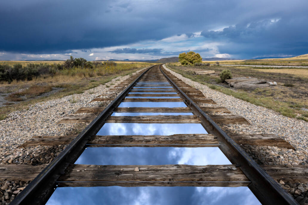 Dance of Tree | Shirin Abedinirad