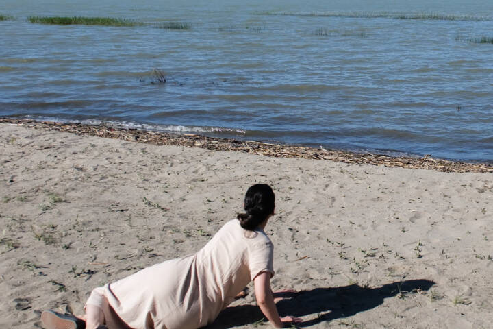 Dance of Tree | Shirin Abedinirad